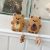3D Teddy Bear AirPods Case - ZiCASE